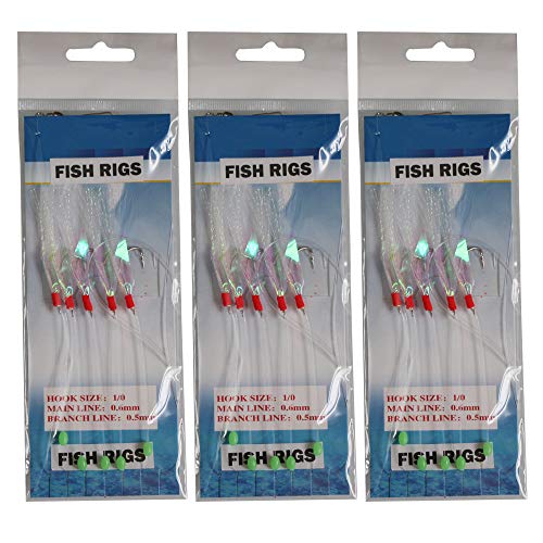 10 Packs Sabiki Rigs Fishing Flasher Lures Bait Rigs for Freshwater ...
