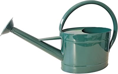 Amazon.com : Gardener's Select AW3003P6G Watering Can, Galvanized, 3.5 ...
