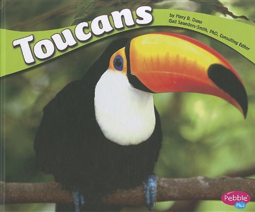 Toucan Books for Children | Rainforest Unit Study
