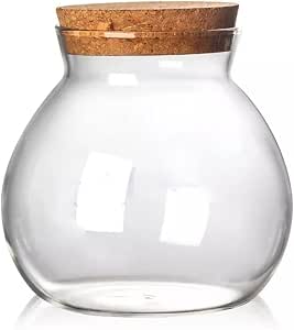 Amazon.com: SDGH Spherical Glass Food Storage Container with Cork Lids ...