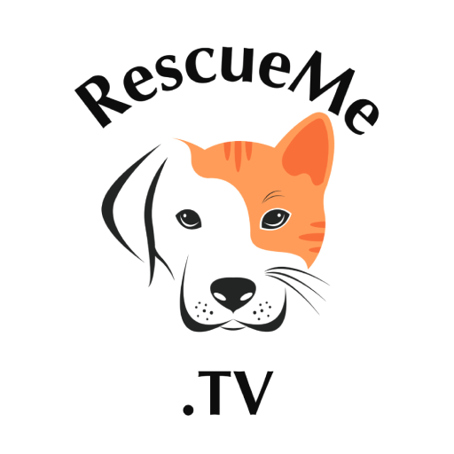 The Rescue Channel - App on Amazon Appstore