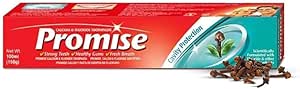 Dabur Promise Clove Toothpaste - 100ml | for Healthy Gums & Strong ...