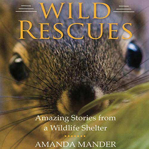 Amazon.com: Wild Rescues: Amazing Stories from a Wildlife Shelter ...