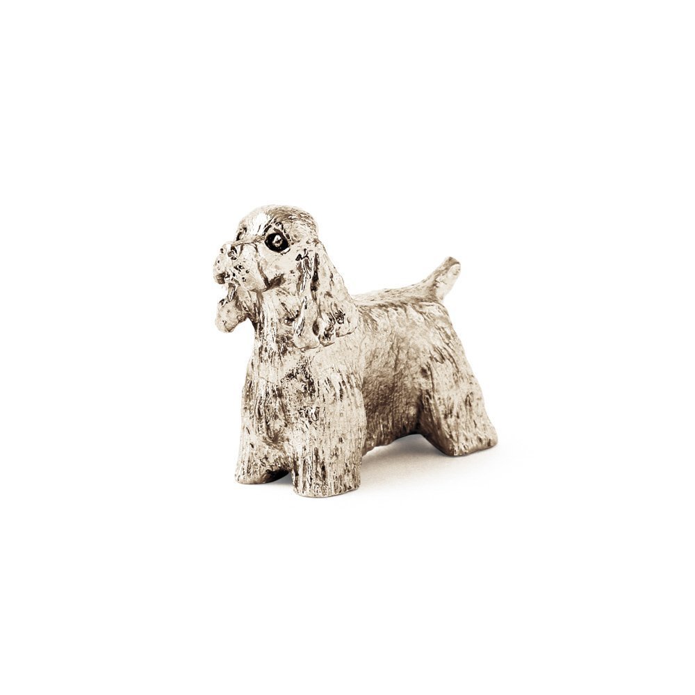 Silver American Cocker Spaniel