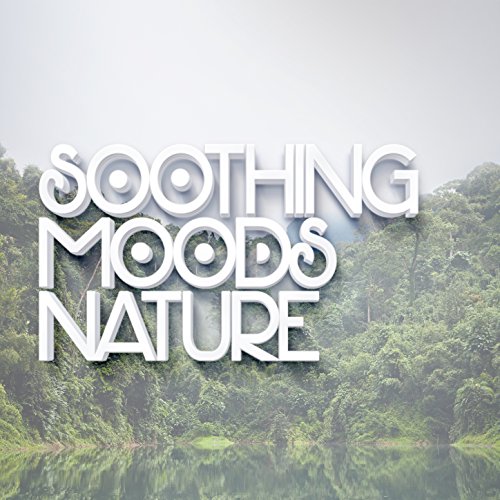 Soothing Moods: Nature : Nature Moods: Amazon.fr: Digital Music