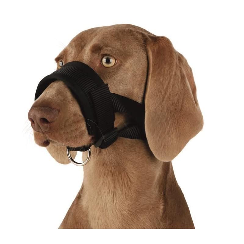 5 Best Dog Muzzles in 2023: Reviews & Top Picks | Pango Pets