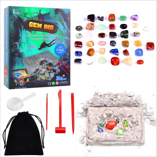 Buy Gems Dig Science Experiments Kit, STEM Projects Educational Real ...