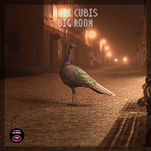 Amazon.com: Big Room : Mark Cubis: Digital Music