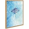 Amazon.com: Kate and Laurel Sylvie Stingray Framed Canvas Wall Art by ...