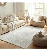 Leesentec Area Rugs for Living Room Bedroom Carpet Fluffy Rugs Shaggy ...