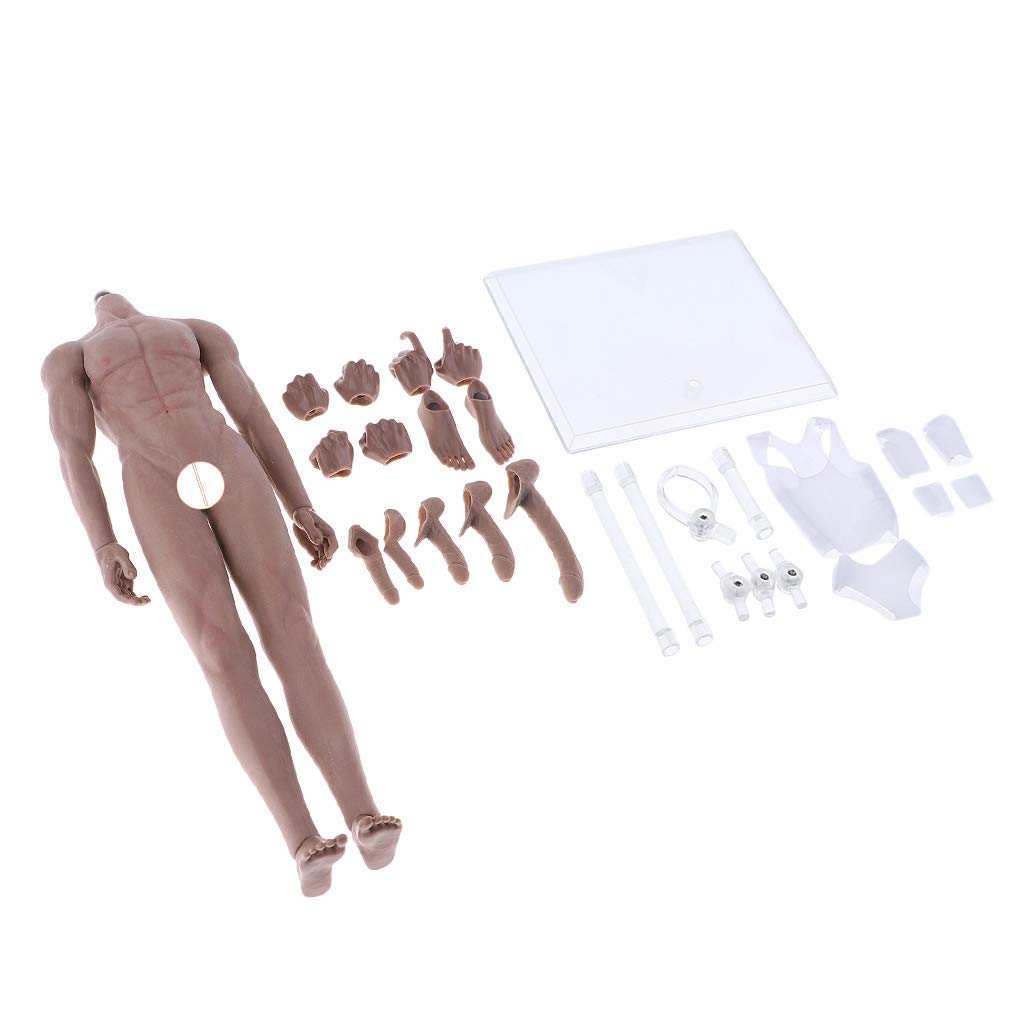Buy ZSMD Male Seamless Figure- Realistic Plastic Skin, Body Type & Skin ...