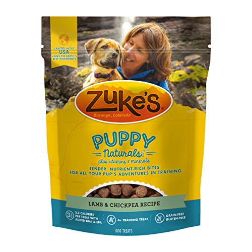 15 Adorable Gift Ideas For New Puppy Owners And Their Pups