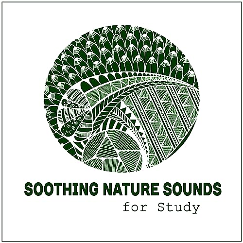 Play Soothing Nature Sounds for Study – Brain Power, Easier Learning ...