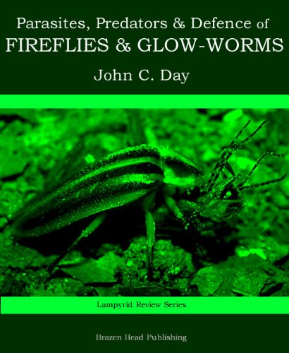 Parasites, Predators & Defence of Fireflies and Glow-worms (Lampyrid ...