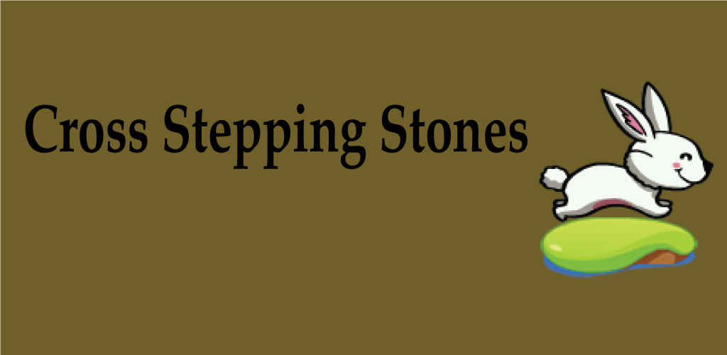 Cross Stepping Stones - cross stepping stones in the forest:Amazon.com ...