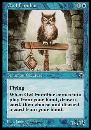 Magic The Gathering - Owl Familiar - Owl Familiar - Portal : Amazon.it ...