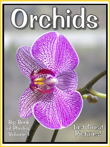 Just Orchid Photos! Big Book of Photographs & Pictures of Orchids, Vol ...