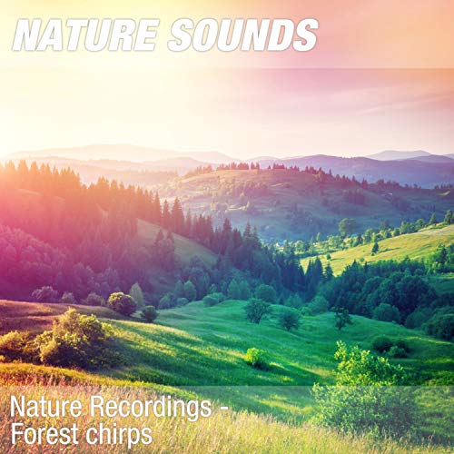Reproducir Nature Recordings - Forest chirps de Nature Sounds en Amazon ...
