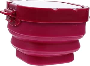 Amazon.com: PLAFOPE Color Box Red Child Disposable Oil Paints Pp