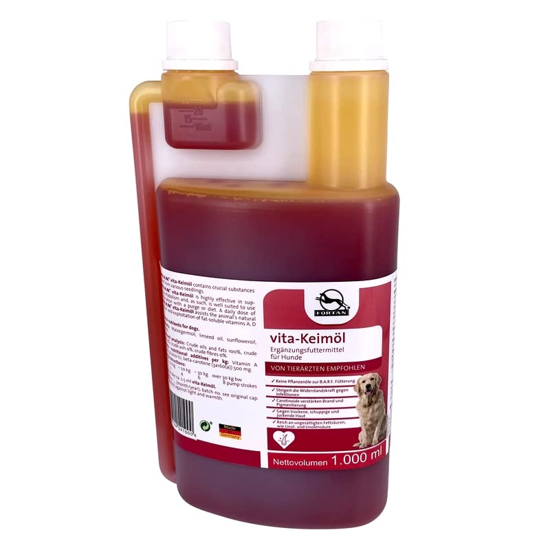 Fortan Hund – Die 15 besten Produkte im Vergleich - HundeINFOPortal