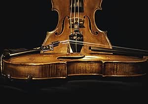 Amazon.co.jp: ポスター シール式ステッカー 515×728㎜ B2 バイオリン 音楽 楽器 写真 フォト 壁 壁紙インテリア おしゃれ 剥がせる 飾り ウォールステッカー ...