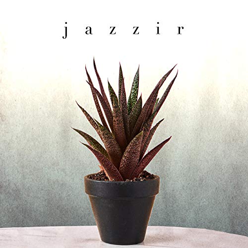 Play You Deserve Love by Jazzir on Amazon Music