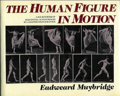 Buy Human Figure in Motion Book Online at Low Prices in India | Human ...