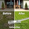 Amazon.com : 62" Thatch Rake, Adjustable Handle 15-Inch Wide Lawn ...