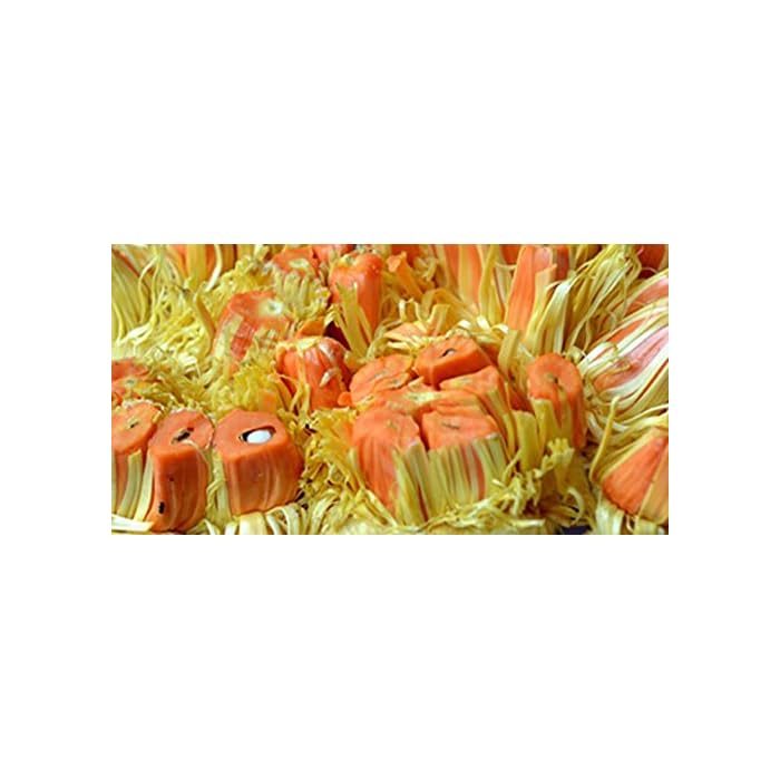 Buy M-Tech Gardens Rare Red Flesh Jack fruit (,PathaMuttom Varikka ...