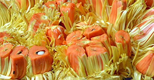 Buy M-Tech Gardens Rare Red Jack fruit (,PathaMuttom Varikka),Super ...