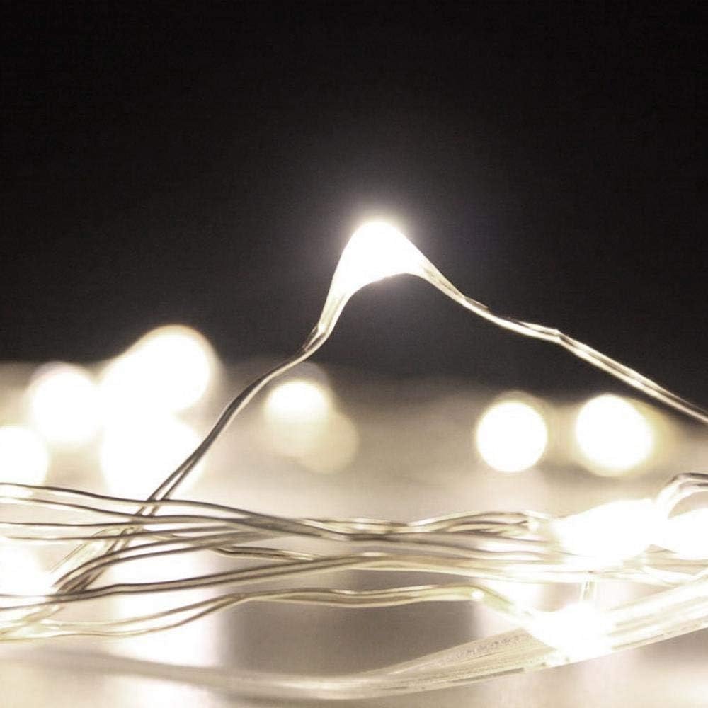 Amazon.com: Pack of 4 String Starry 20 LEDs Silver Wire Lights with ...