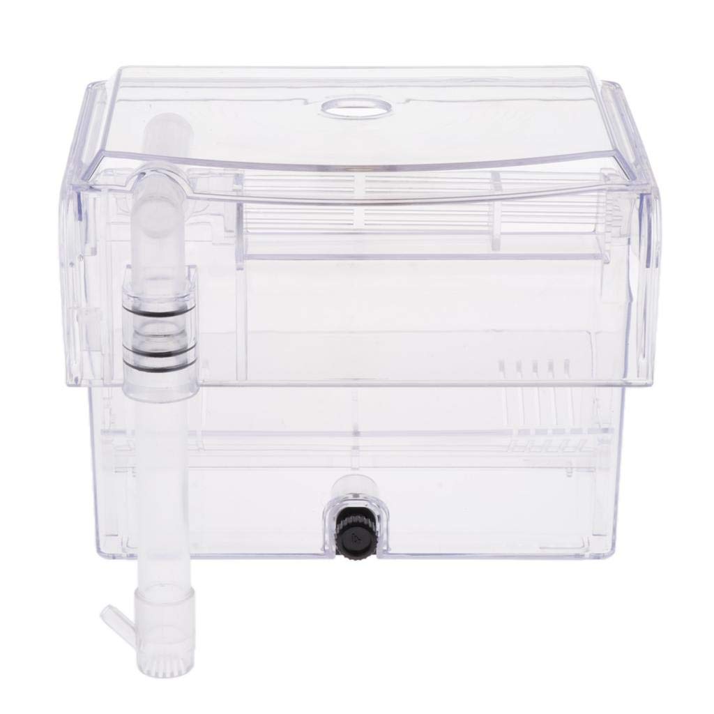 Enakshi Fish Tank High Transparent Aquarium Tank Fish Incubator ...