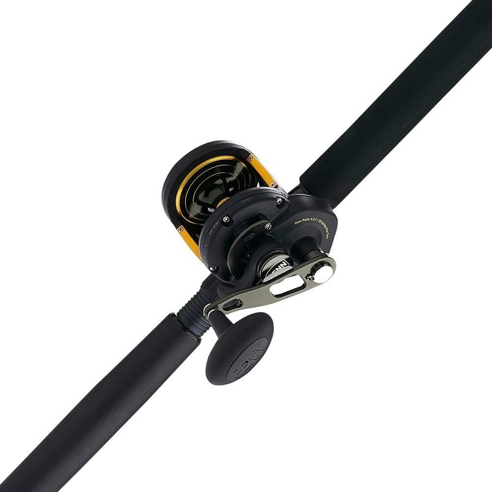 Amazon.com : PENN Squall II Lever Drag Fishing Rod & Reel Combo ...
