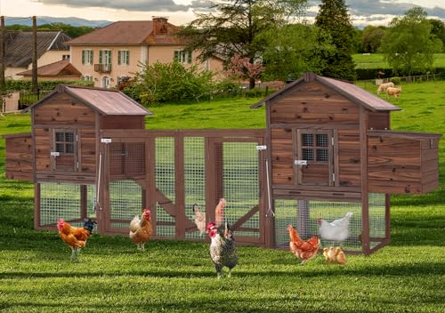 Wooden-Chicken-Coop-Large-Walk-in-Outdoor-Hen-House-with-Nesting-Box ...