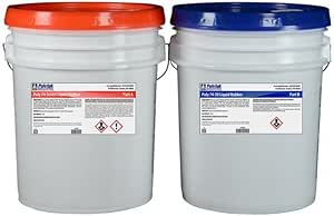 Amazon.com: Polytek 74-30 Caucho de poliuretano líquido (kit de 80 ...