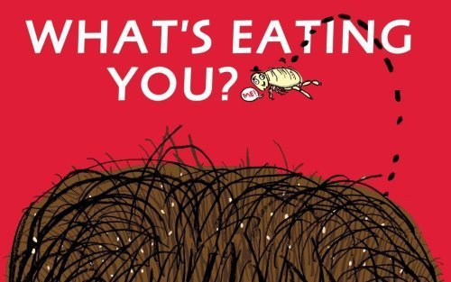 What's Eating You?: Parasites - The Inside Story (Animal Science) by ...
