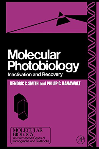 Molecular Photobiology: Inactivation and Recovery eBook : Smith ...