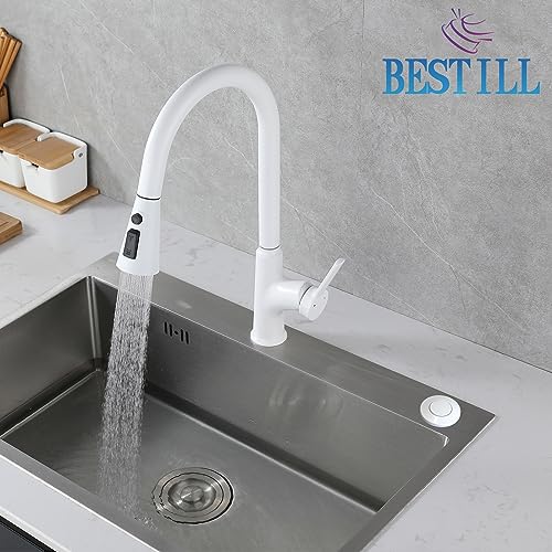 Snapklik.com : BESTILL Sink Top Air Switch Kit For Garbage Disposal ...
