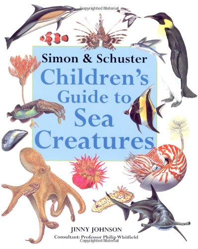 Ocean Picture Books For Kids To Learn About Sea Life