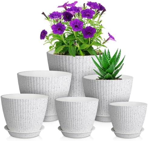 Amazon.com: IHDYPPEW 32 Packs 6 Inch Plastic Plant Pots, Plastic ...