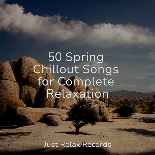 Spiele 50 Spring Chillout Songs for Complete Relaxation von Relaxation ...