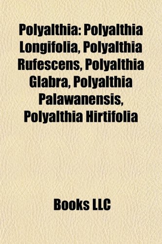 Polyalthia Polyalthia: Polyalthia Longifolia, Polyalthia Rufescens ...