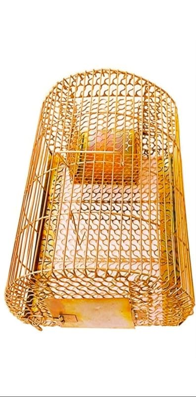 BHOLA Engineering Rat Trap Cage, Rodent Control, Pinjra for Rat, Mouse ...