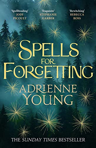Spells for Forgetting: the spellbinding magical mystery full of dark ...