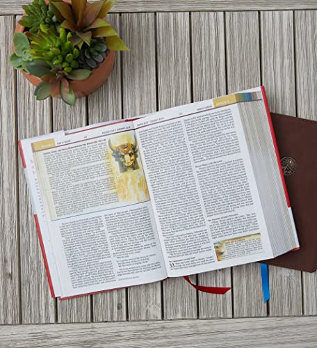 Snapklik.com : NKJV, Chronological Study Bible, Hardcover, Comfort ...