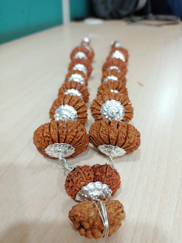 Seven-Hills Nepali Indrani Mala 1 to 21 Mukhi Rudraksha Mala Nepali ...