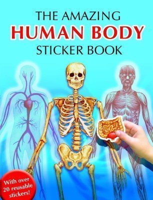 Human Body Sticker Book: Amazon.co.uk: 9781842398685: Books