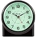 Amazon.com: Equity 14080 Analog Night Vision Alarm Clock : Home & Kitchen