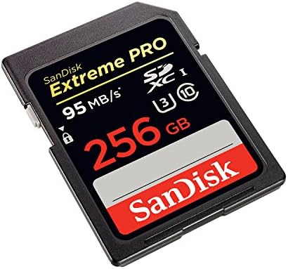 SanDisk Cartão de memória 64GB Extreme SDXC UHS-I - C10, U3, V30, 4K ...