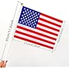 Amazon.com: LZXING 226 Countries International Flags of the World Small ...